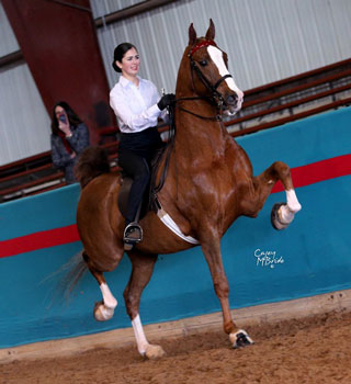 Winsdown Year End Awards 2013